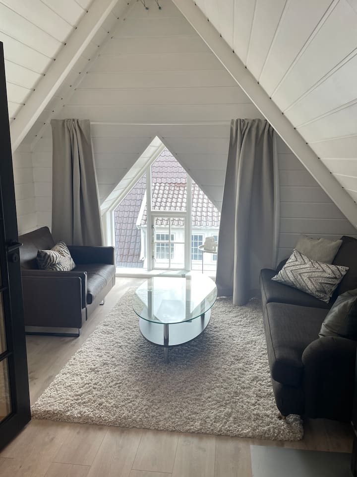 Topp Etasje I Beste Villa Strøk Sentrumsnært - 斯塔萬格