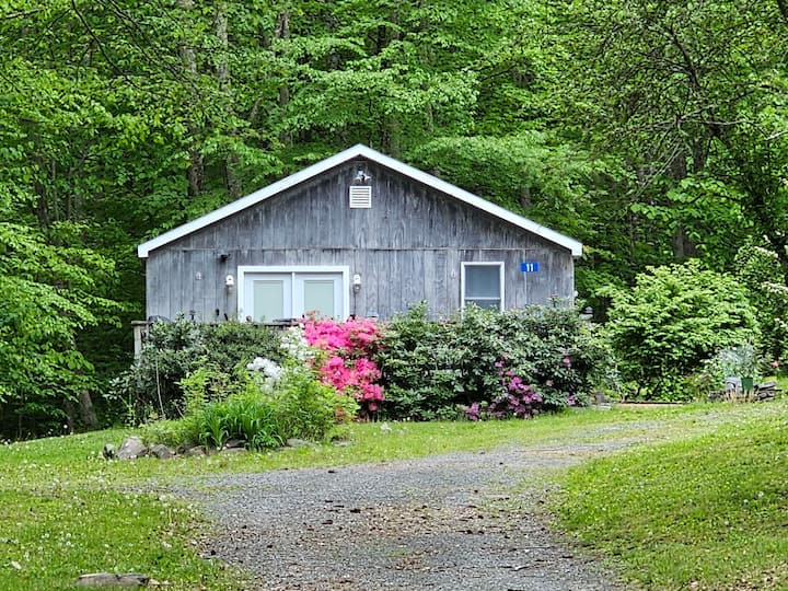 Creekside Cabin - Phoenicia, NY