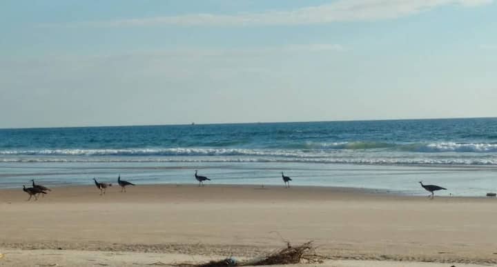 Seafront Ac Room With Huge Terrace & Stunning View - Mangaluru
