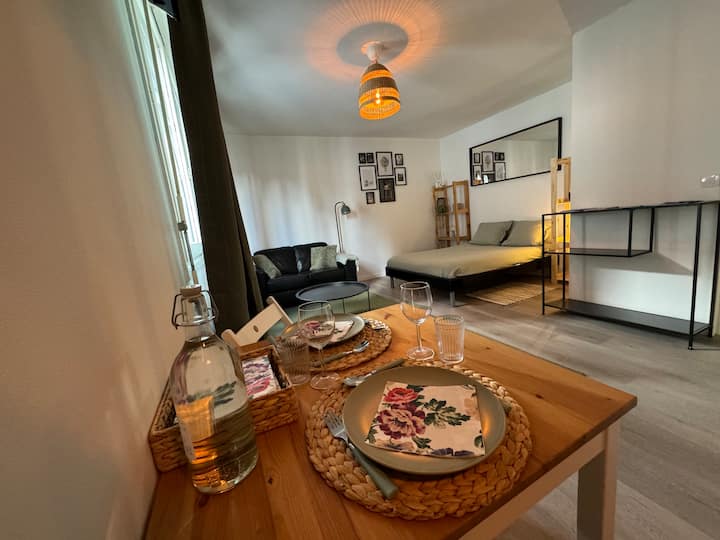 Studio Hyper Centre •Gare 50 M • Grand-place 1 Min - Gare de Lille Europe - Euralille