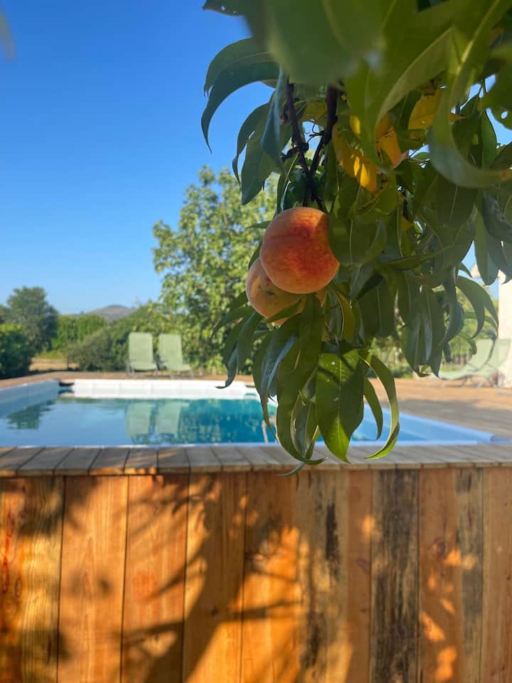 Souto Guimarães Country House - Guimarães