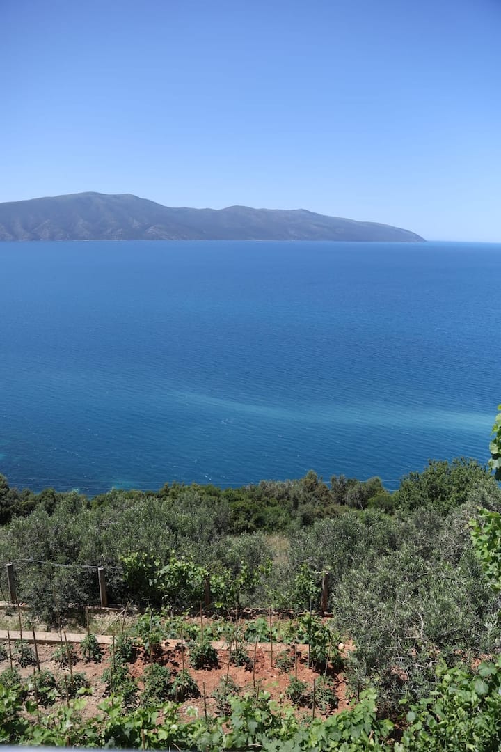 Alfred's Place No.1 - Albanien