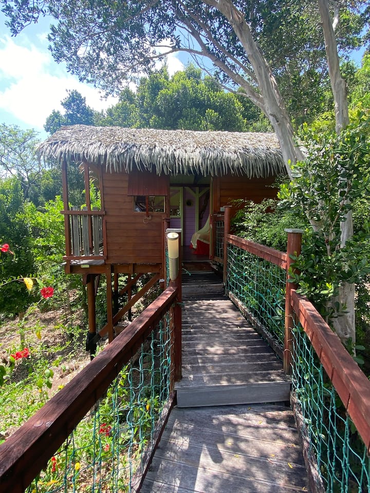 Kaz Robinson Cabane Perchée Vue Mer - Guadalupe