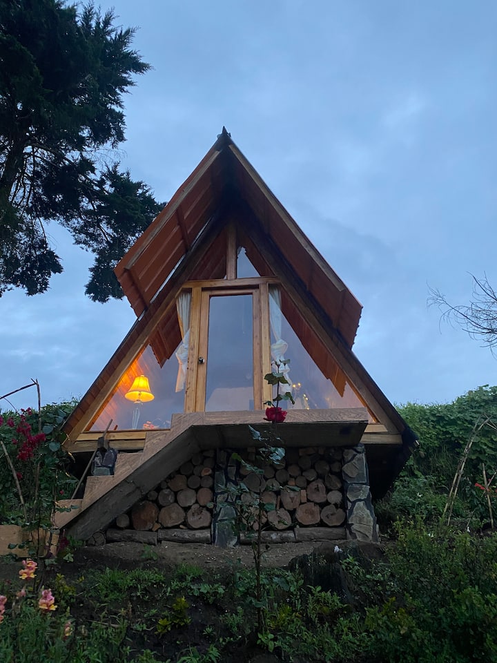 Flores Glamping Corona
Un Lugar Para Desconectar - Bolivar