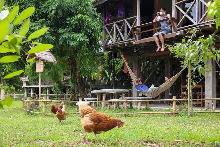 Family Cabin Chiang Mai (2 Bed Rooms With Kitchen) - Chiang Mai