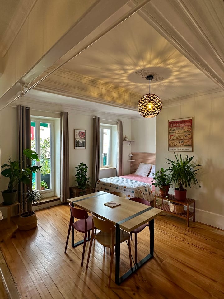 Grand Loft Lumineux, Hyper Centre & Parking Privé - Montélimar