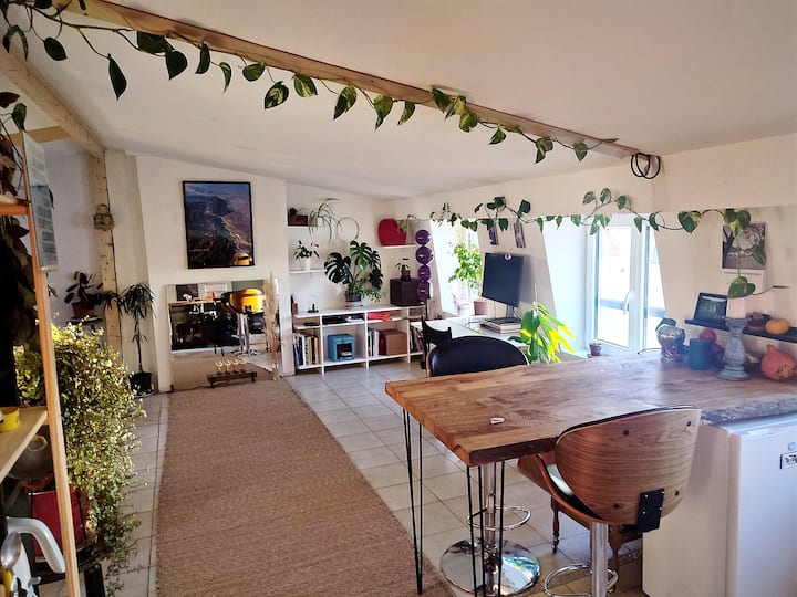 Loft D'artiste - Pentes De La Croix-rousse - Lyon