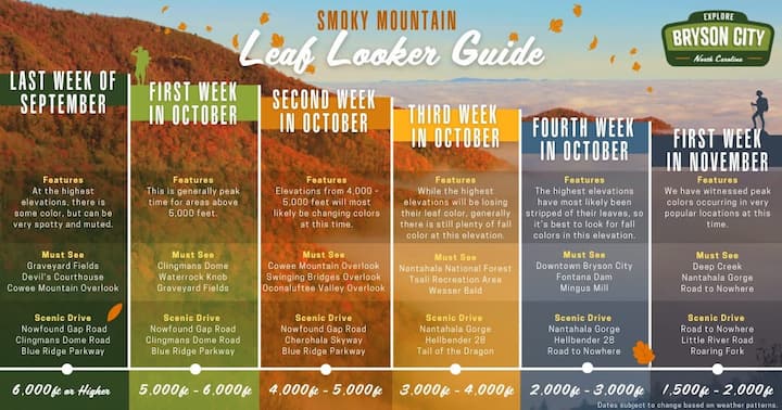 Waterfall Whisper - Bryson City, NC