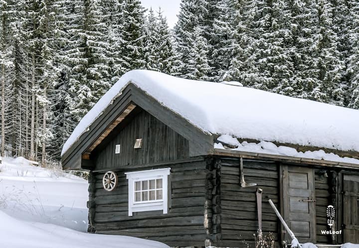 Idyllic Cabin On A Mountain Hill - Norway