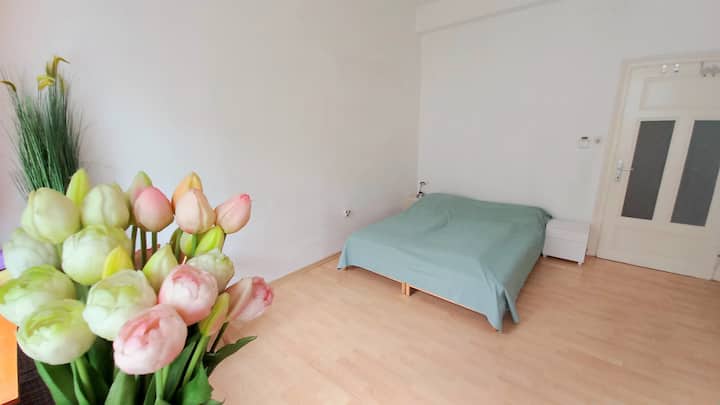 Small Quiet Apartment Near Metro U3 Ottakring - Bécs