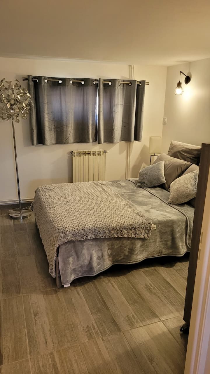 Appartement Moderne Dans Villa - Givors