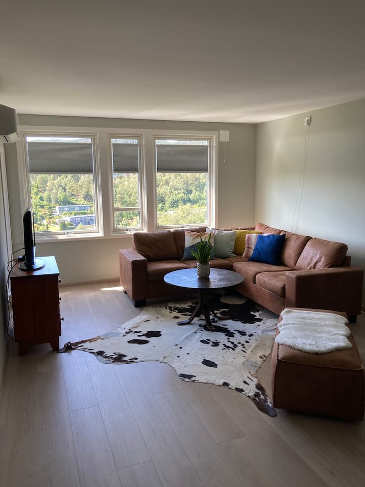 One Bedrom In Large, Bright And Pleasant Penthouse - Bergen