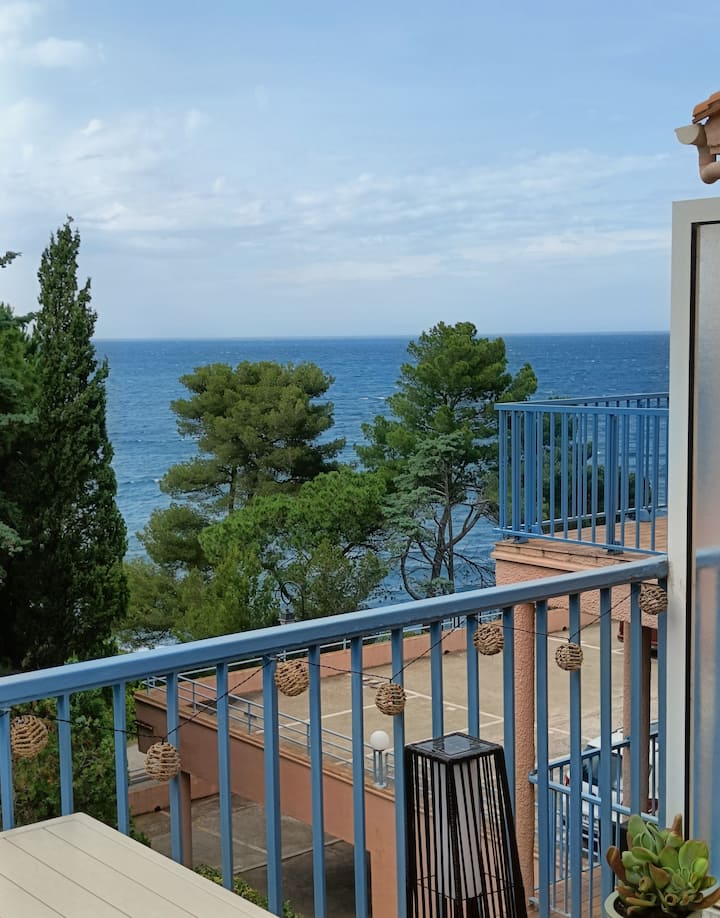 Appartement T2 Terrasse Vue Mer - Collioure