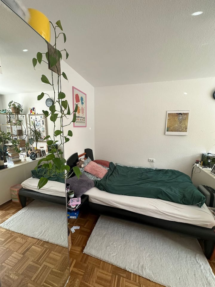 Traum Appartment - Colonia