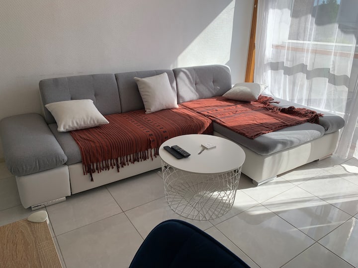 T3 Grand Appartement - Pessac