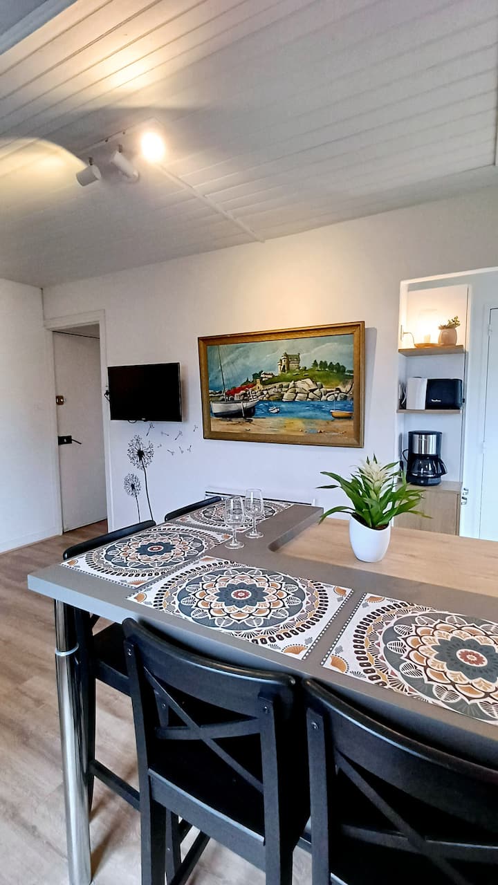 Appartement Proche Du Port - Trégastel