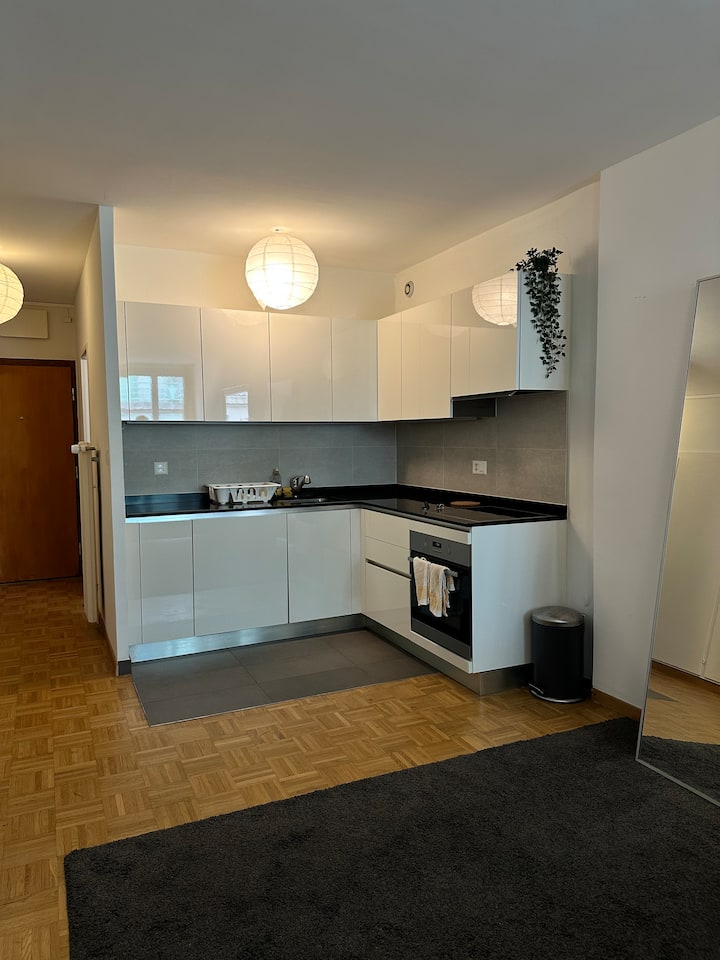 Appartement Confort, Vue Sur Le Lac - Genf