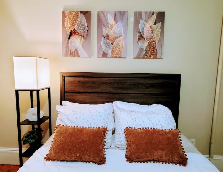 New England Life Style, Harvard Sq - Cambridge, MA