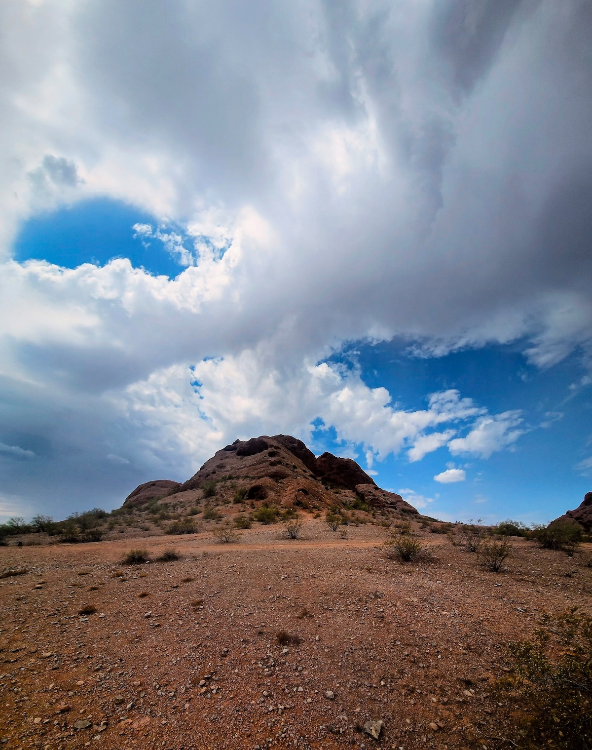 The Phoenix Haven : près du centre-ville et de l'aéroport PHX. - Maisons à louer à Phoenix ...