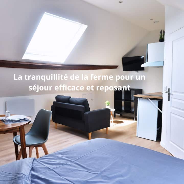 5-zenkaserenity, Studio Zen-centre-parking Facile - Saint-Quentin