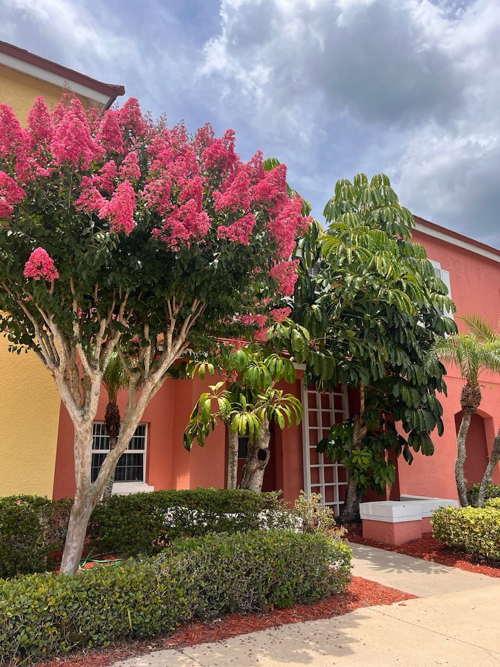 The Nest - Kissimmee