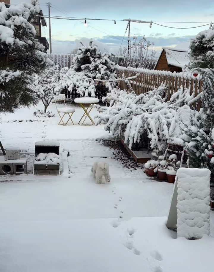 해원의작은집/바베큐/불멍/캠핑/춘천Ic에서5분/숙소앞 2대 주차가능 - Chuncheon-si