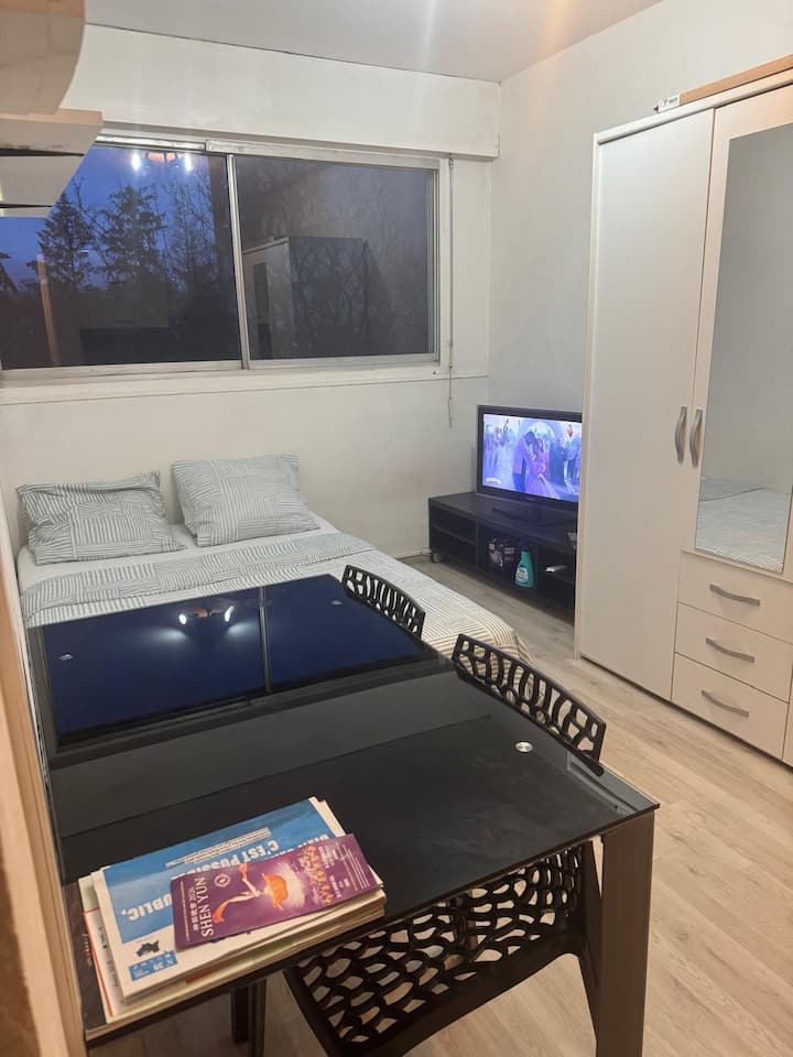 Studio Meublé Et éQuipé à Ferney-voltaire - Versoix