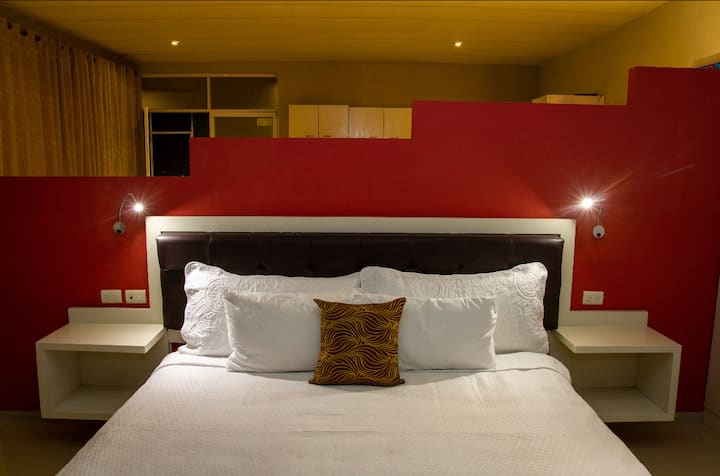 Modern Loft With Rooftop & Garage - San Miguel de Allende