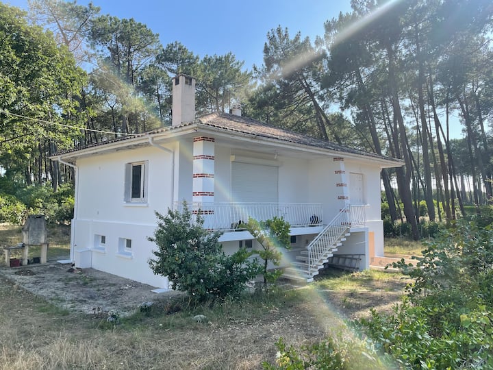 Maison Mimizan Plage Au Milieu Des Pins - Mimizan