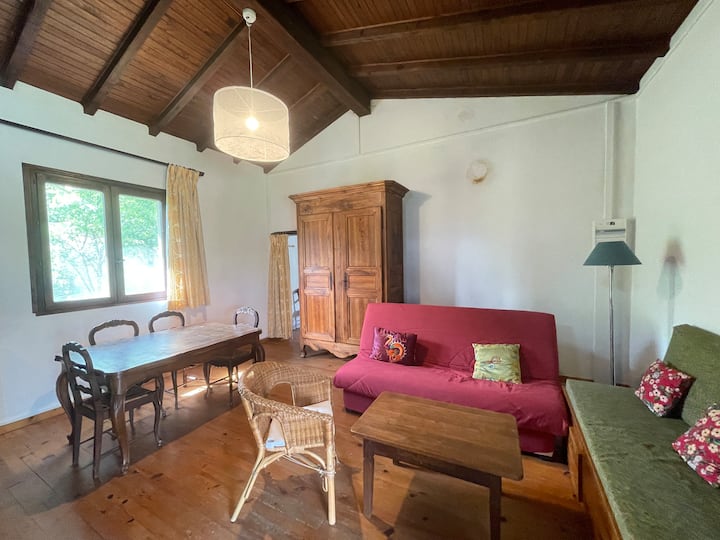Maison Piscine 12 Pers – Jardin 4000m² Proche Lyon - Safari de Peaugres