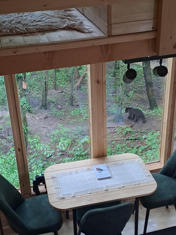 Bear Watching Cabin -Unique Wildlife Experience - Transylvania