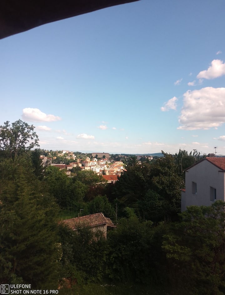 Appartement Au Centre D'annonay - Annonay