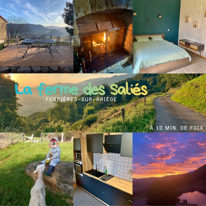 Gîte à La Ferme Des Saliés - à 10 Min De Foix - Foix