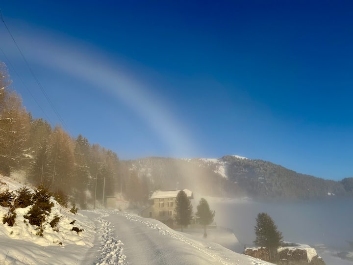 La Colonia Casa Vacanze: Appartamento Rododendro - Aprica