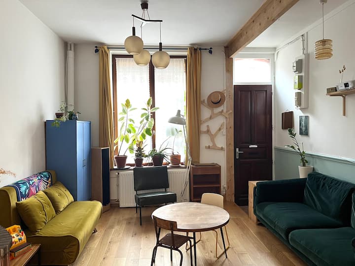 Maison 4-6 Pers Avec Petit Jardin - Lille