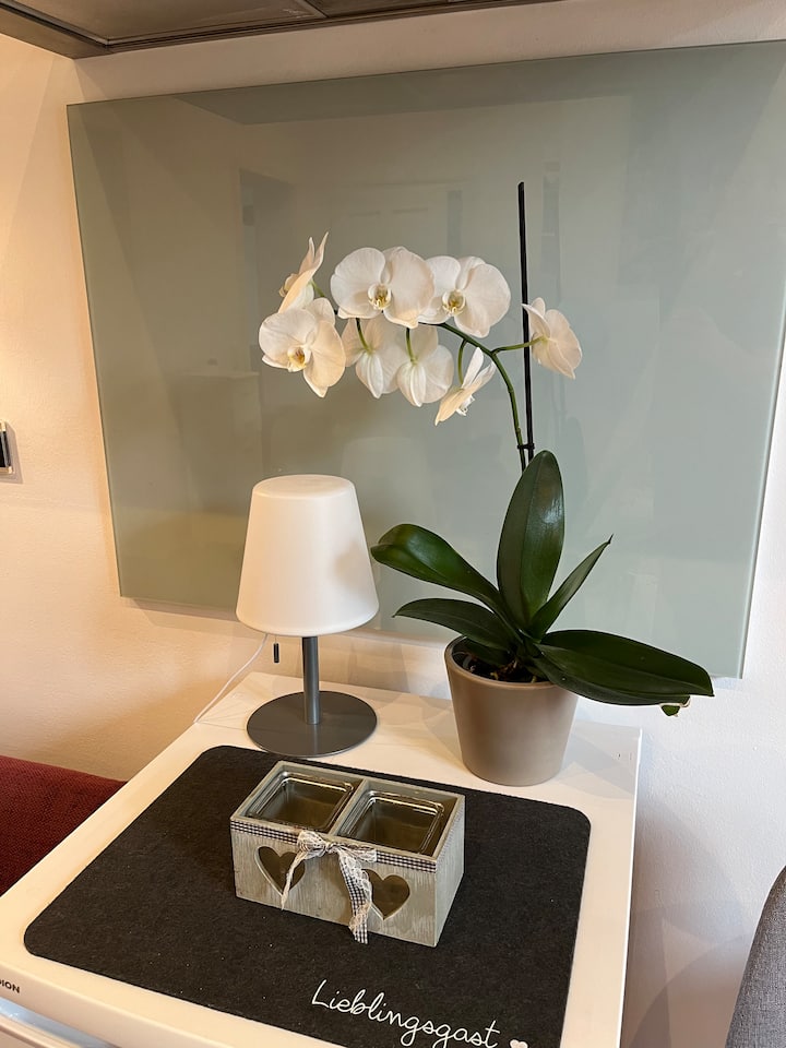 Beautiful 2 Bedroom City-flat Near Olympiapark - München