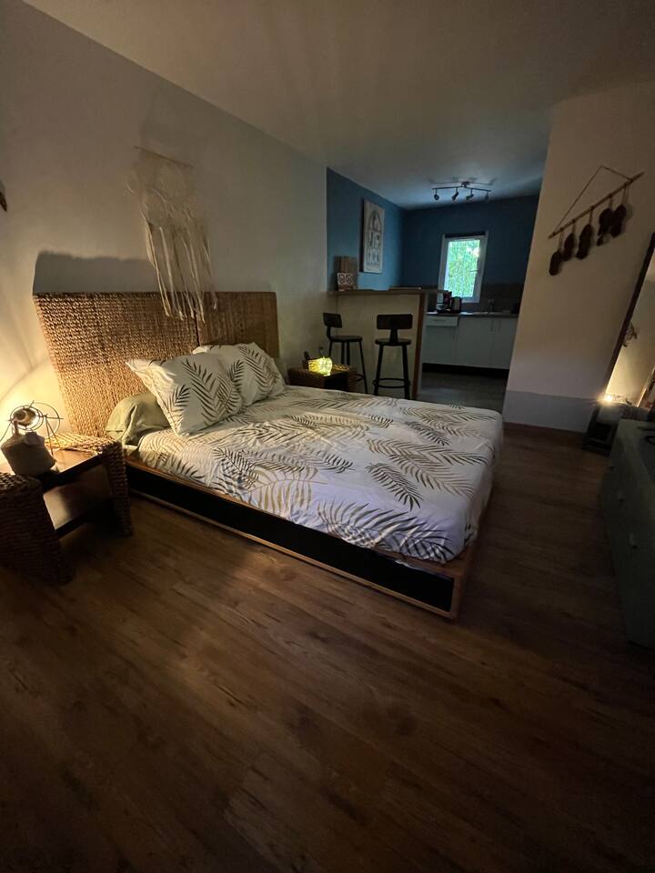 Super Studio Tout Confort - La Motte