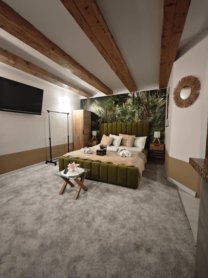 The Urban Oasis | Central Studio & Free Parking - Craiova