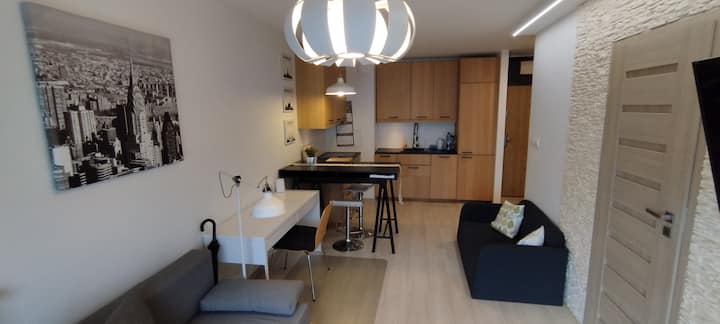 Modern Scandinavian Apartment - Lublin