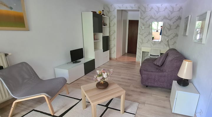 Grand Studio De Charme Avec Piscine - Montpellier