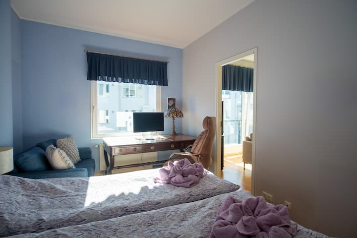 Spacious Central Apartment With Sauna - Tallinn
