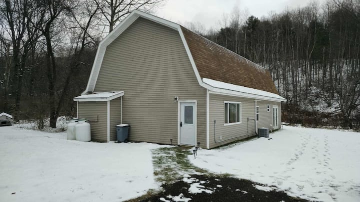 Private And Cozy 2 Bedroom Home In Ellicottville - Ellicottville, NY