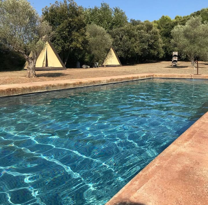 Preciosa Tenda En Un Museu - Figueras