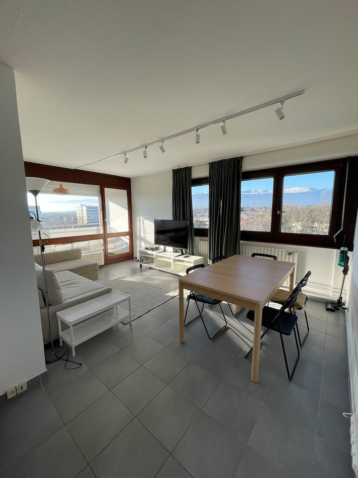 Spacious Apartment Close To Un - Ferney-Voltaire