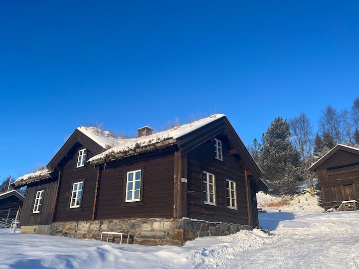 Norwegian Cottage - Skrøyvestølane