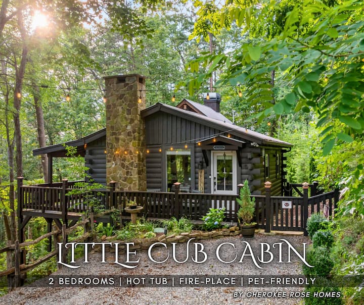 *Little Cub Cabin*views~couples~pets~hottub - Cherry Log, GA