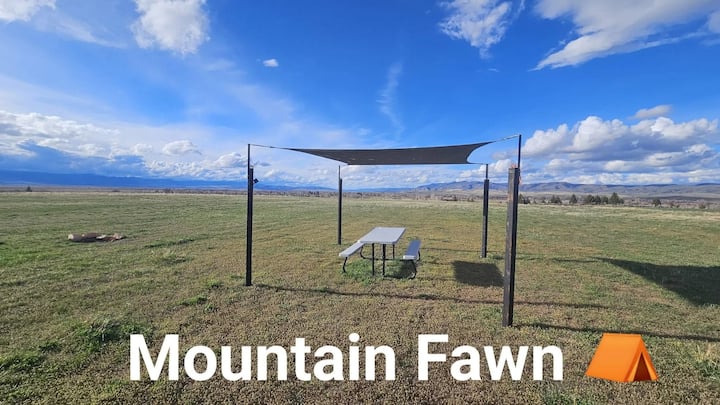 Cottonwood Mountain Fawn Site - Bear Lake