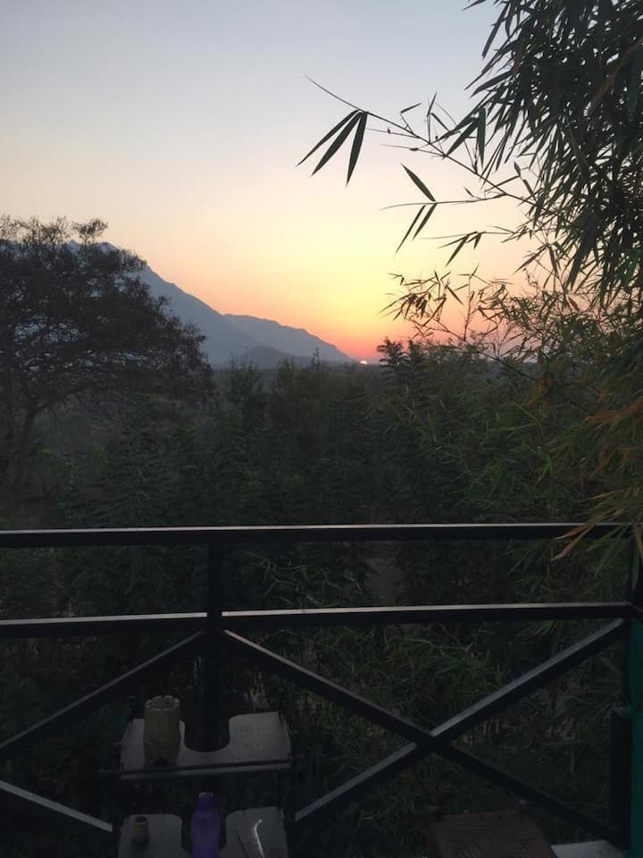 The Cactus Tree (Room)
1 Private Room, 2guests - バンディプール