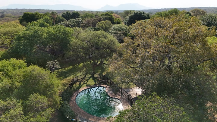 Farmstay Bordering  Kruger Park Close To Orpen - Acornhoek