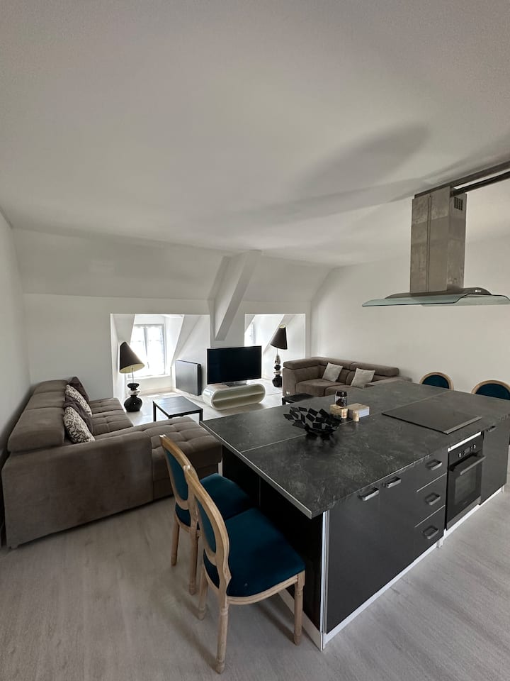 Appartement Spacieux - Gray